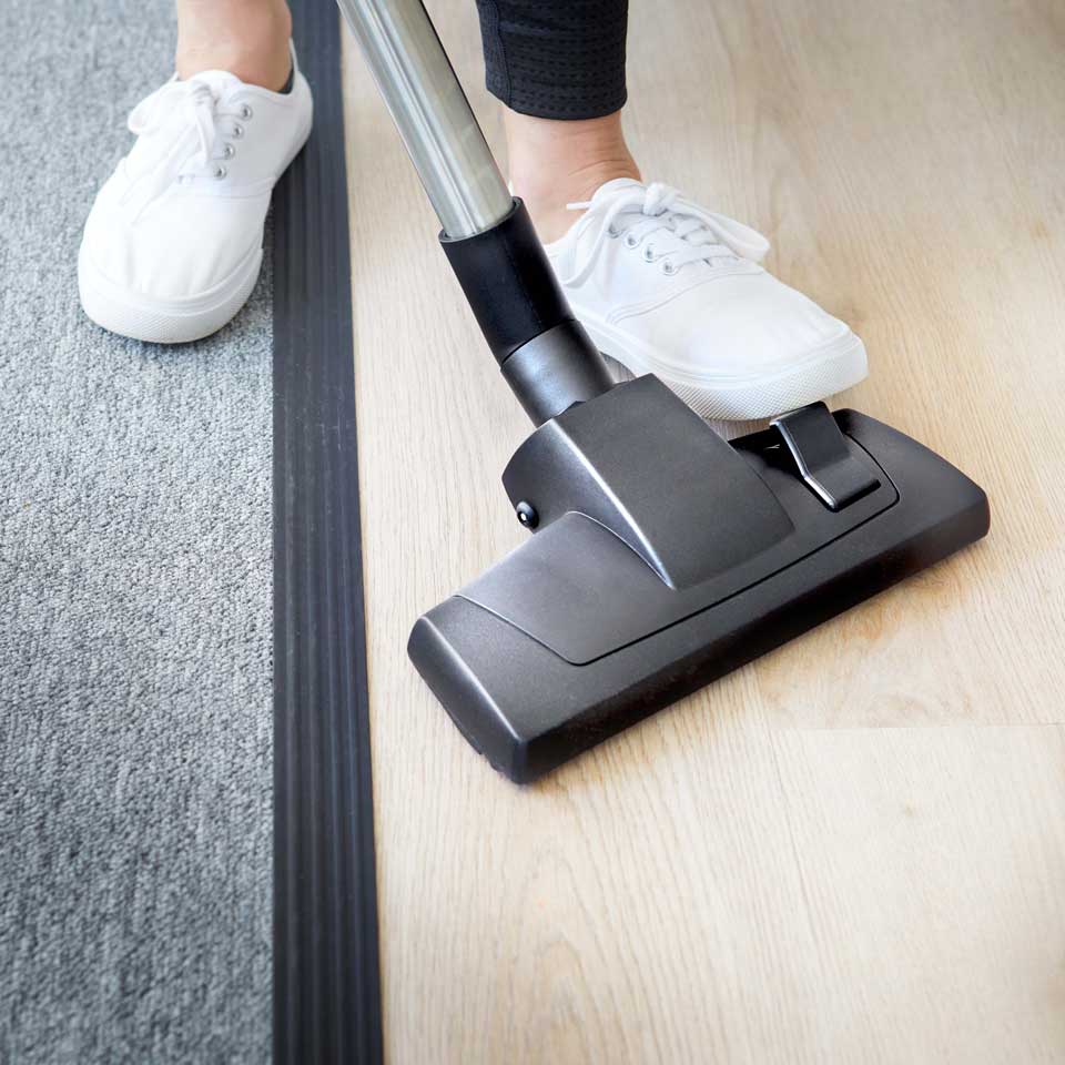 Vacmaster D8 Cylinder Vacuum Cleaner | With 5 Dust Bags – Cleva